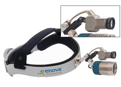 Headbands – Oak Tree Group